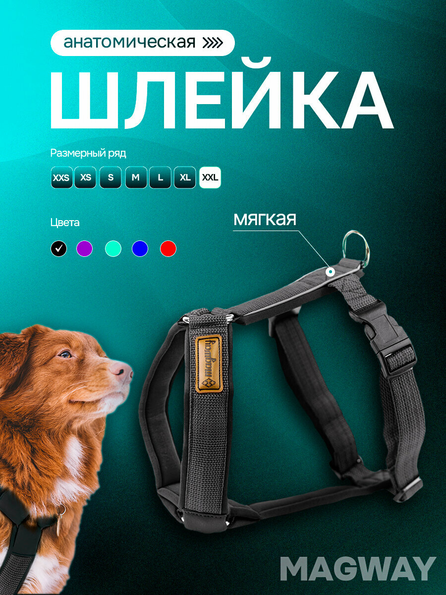 Шлейка прогулочная на мягкой подкладке из неопрена MagWay, черный, размер XXL, для мелких, средних и крупных пород, анатомически правильная