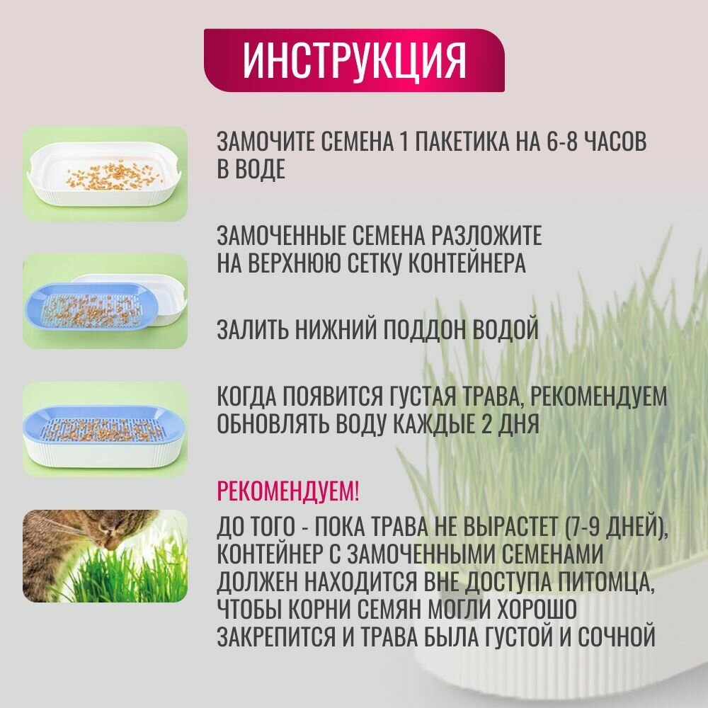 Миска для животных