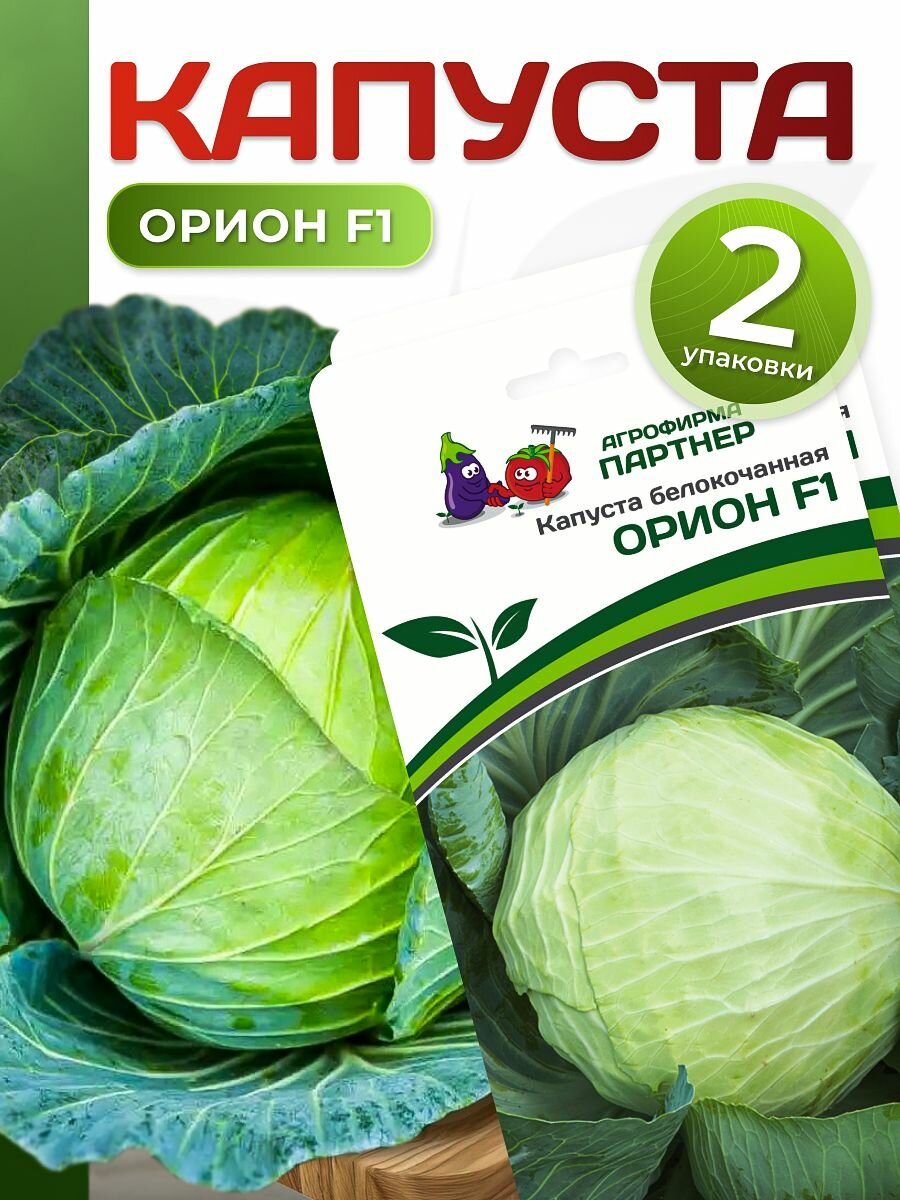 Семена капусты Орион, Агрофирма Партнер