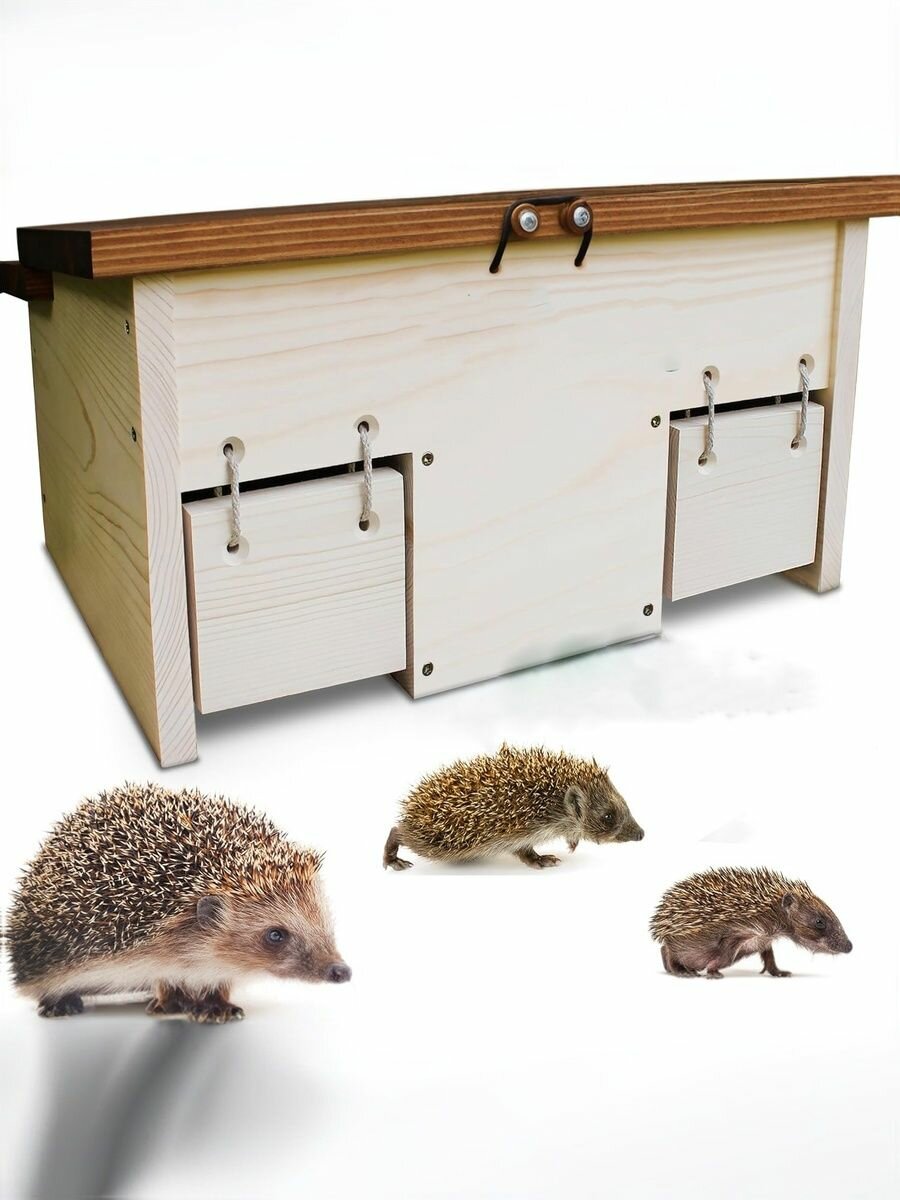 Кормушка домик для ежа