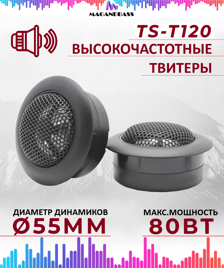 Твитеры автомобильные/Высокочастотные динамики, пищалки/55 мм/80 Вт./Встроенный фильтр/TS-T120