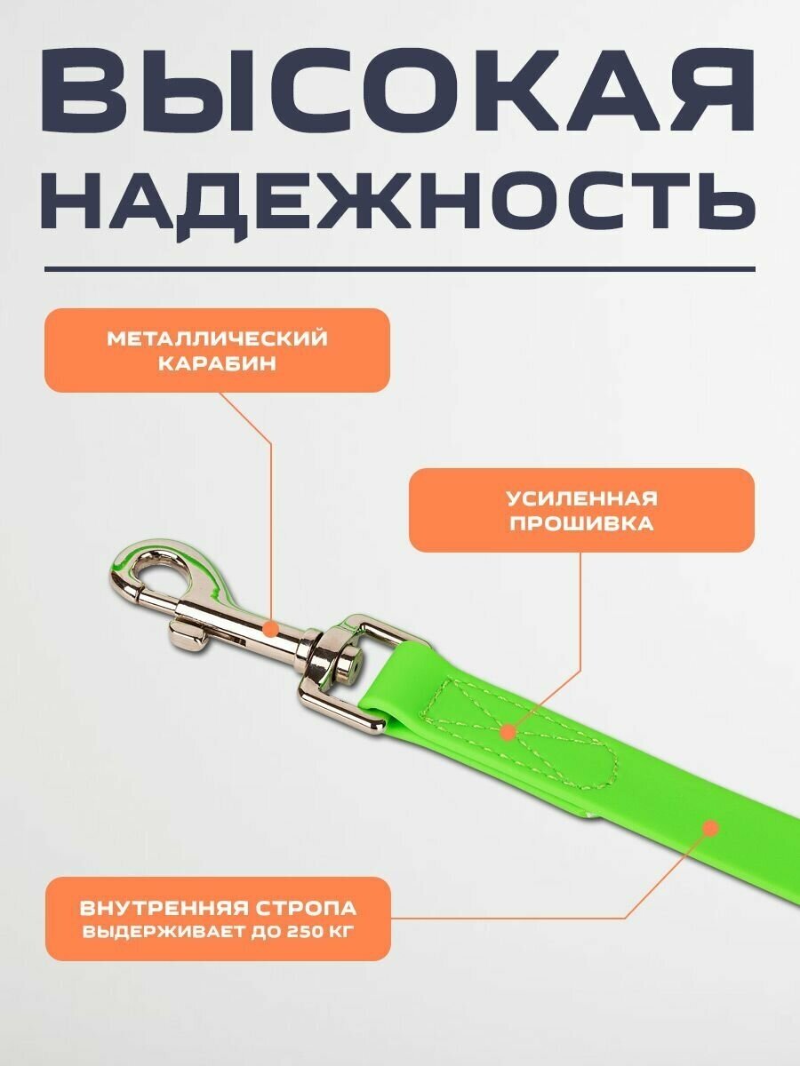 Поводок — фото 1