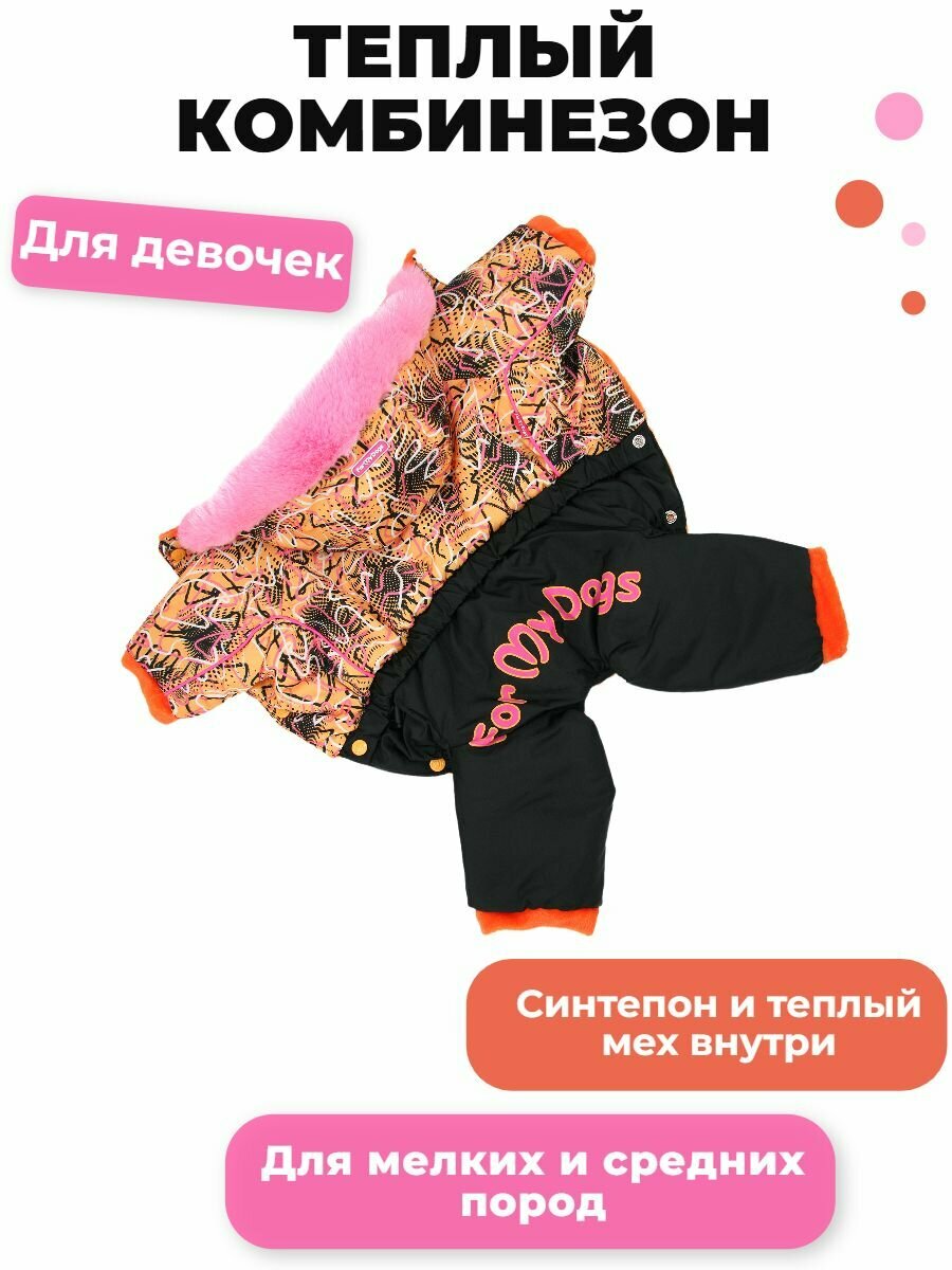 Зимний комбинезон для собак девочек на синтепоне (мелкие и средние породы)