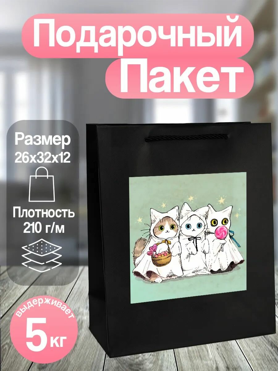 Подарочный пакет большой черный Хэллоуин, упаковка для подарка, 26х31 см