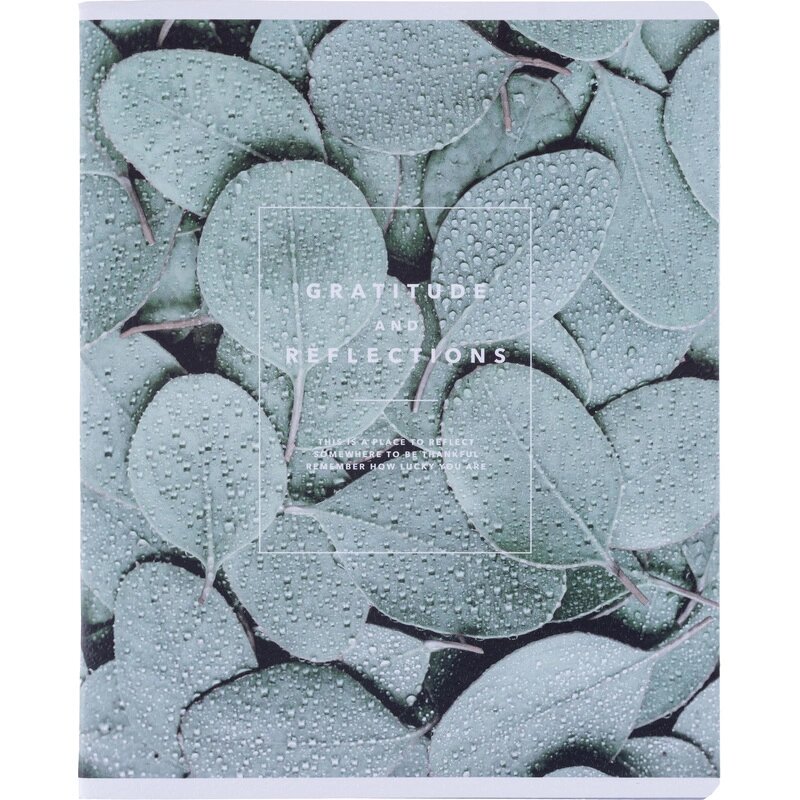 Тетрадь общая, BS, А5, 48л, клетка, скрепка. Botanica, эвк. т рамка N4169