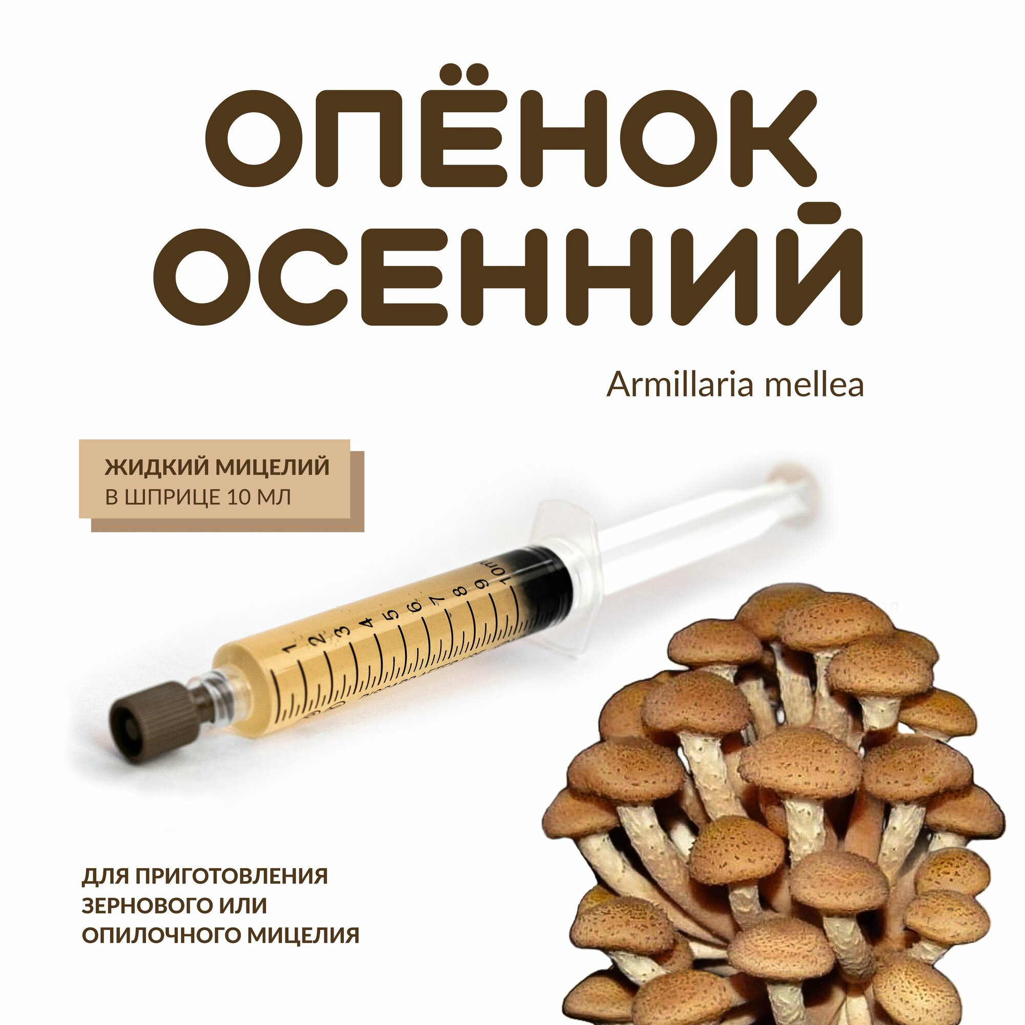 Жидкий мицелий Опёнка осеннего