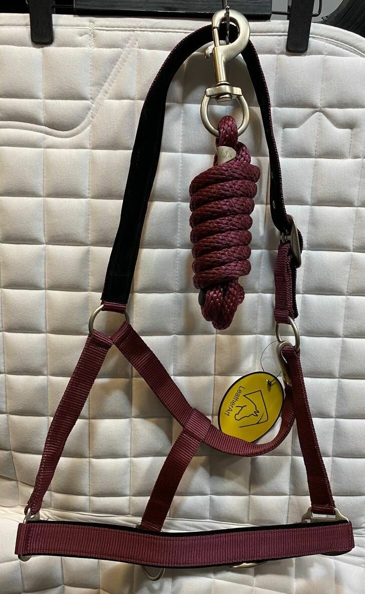 Недоуздок нейлоновый с мягкой подложкой + чомбур LeatherArt комплект, цвет бордовый, размер PONY