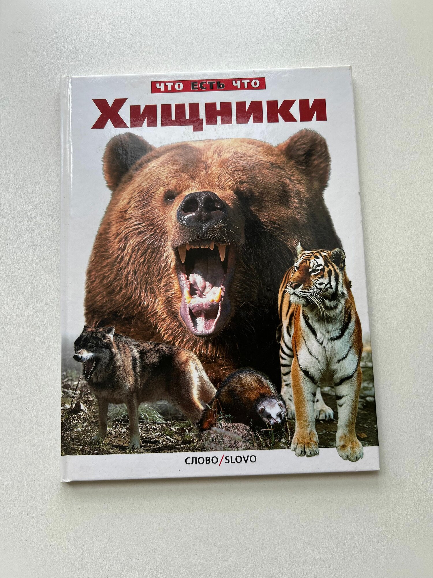 Книга Хищники. Из серии Что есть что . Издание 2001 года