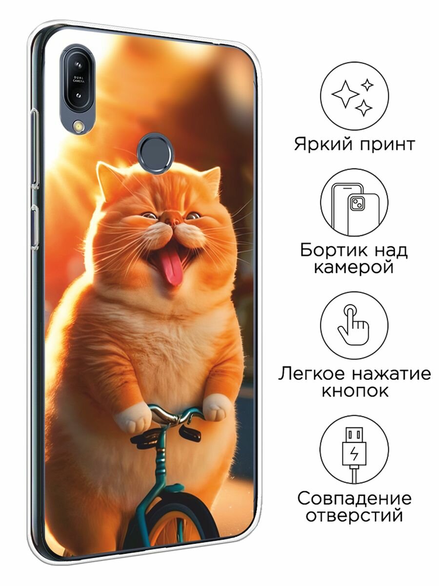 Чехол на Asus Zenfone Max M2 ZB633KL / Асус Зенфон Макс М2 ZB633KL с принтом "Кот на велике" — фото 1