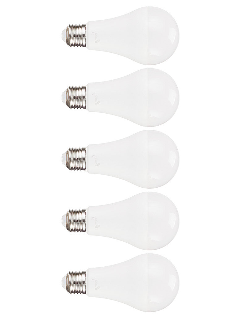 Лампа светодиодная E27 2700К 18 Вт 1710 Лм 230 В груша А65 матовая (5 шт.)