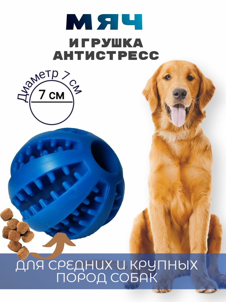 Мяч для собак Грызак, для здоровья зубов мелких пород, для лакомств