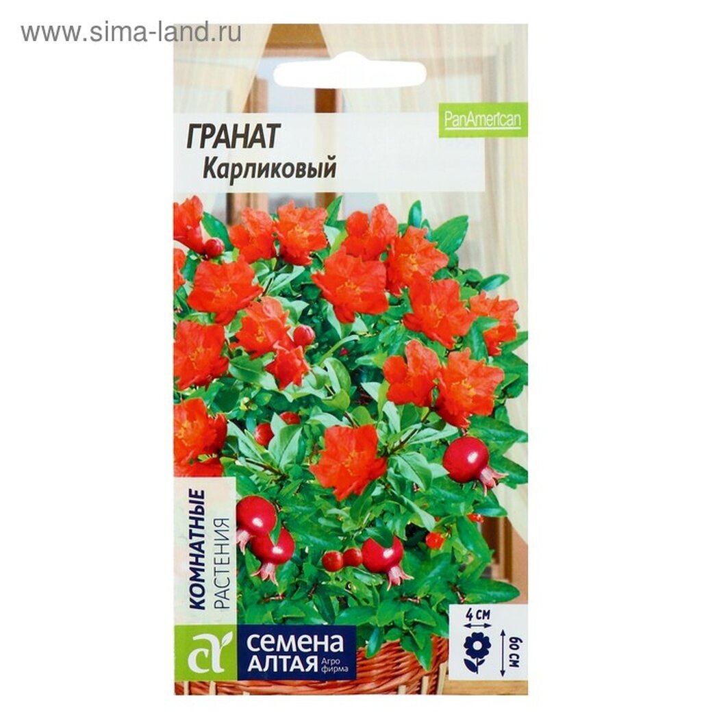 Семена комнатных цветов Семена Алтая "Гранат Карликовый", многолетние, 5шт