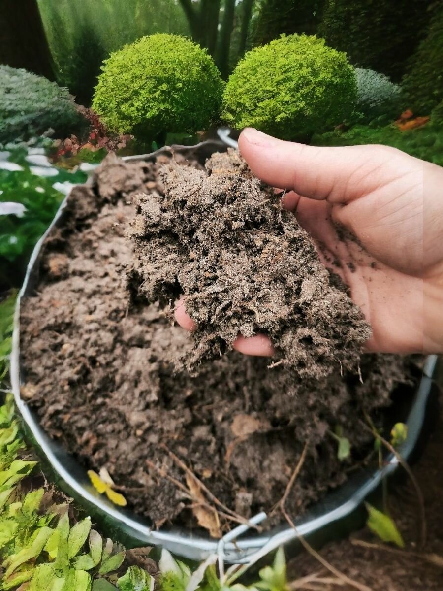 Земля лесная 10 литров