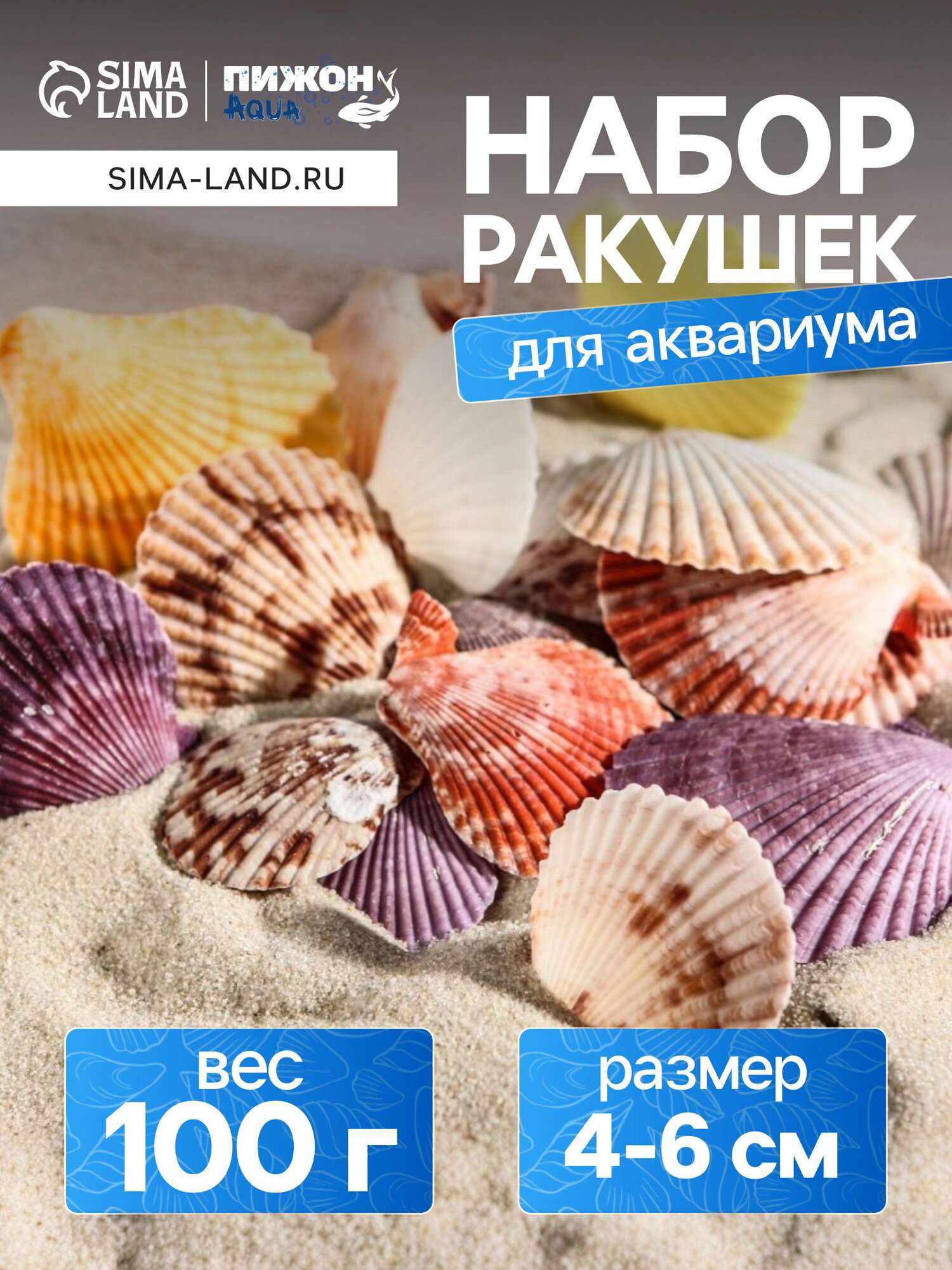 Набор ракушек Пектен Вексиллум средние, 4 - 6 см, 100 г, вид декора: ракушки