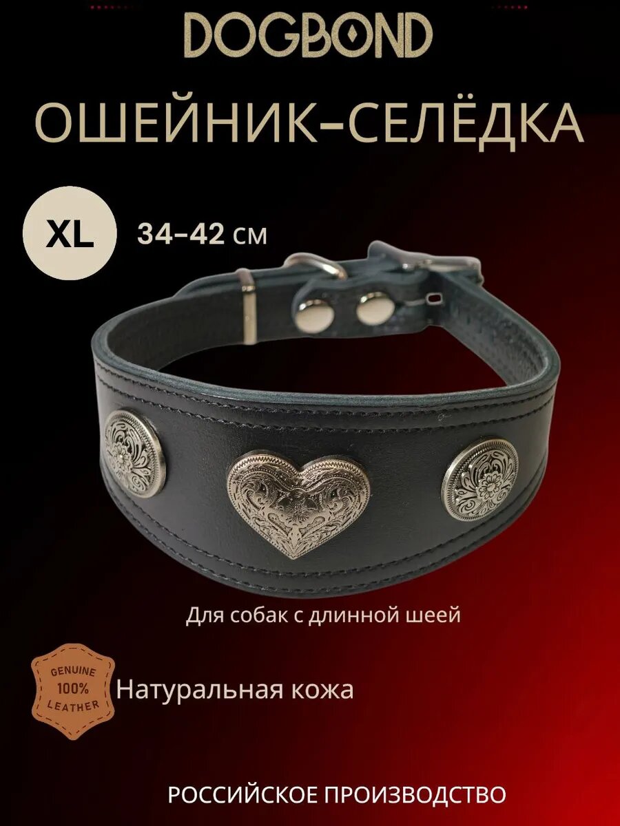 Ошейник-селедка Dogbond для грейхаундов и борзых собак