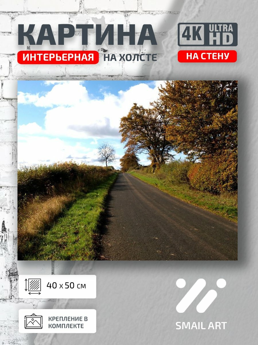 Картина на холсте интерьерная 40 на 50 на стену Деревья Landscape для гостиной пейзаж декор