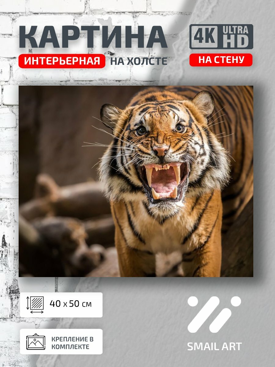 Картина на холсте интерьерная 40 на 50 на стену Клыки Animal для детской animal style декор