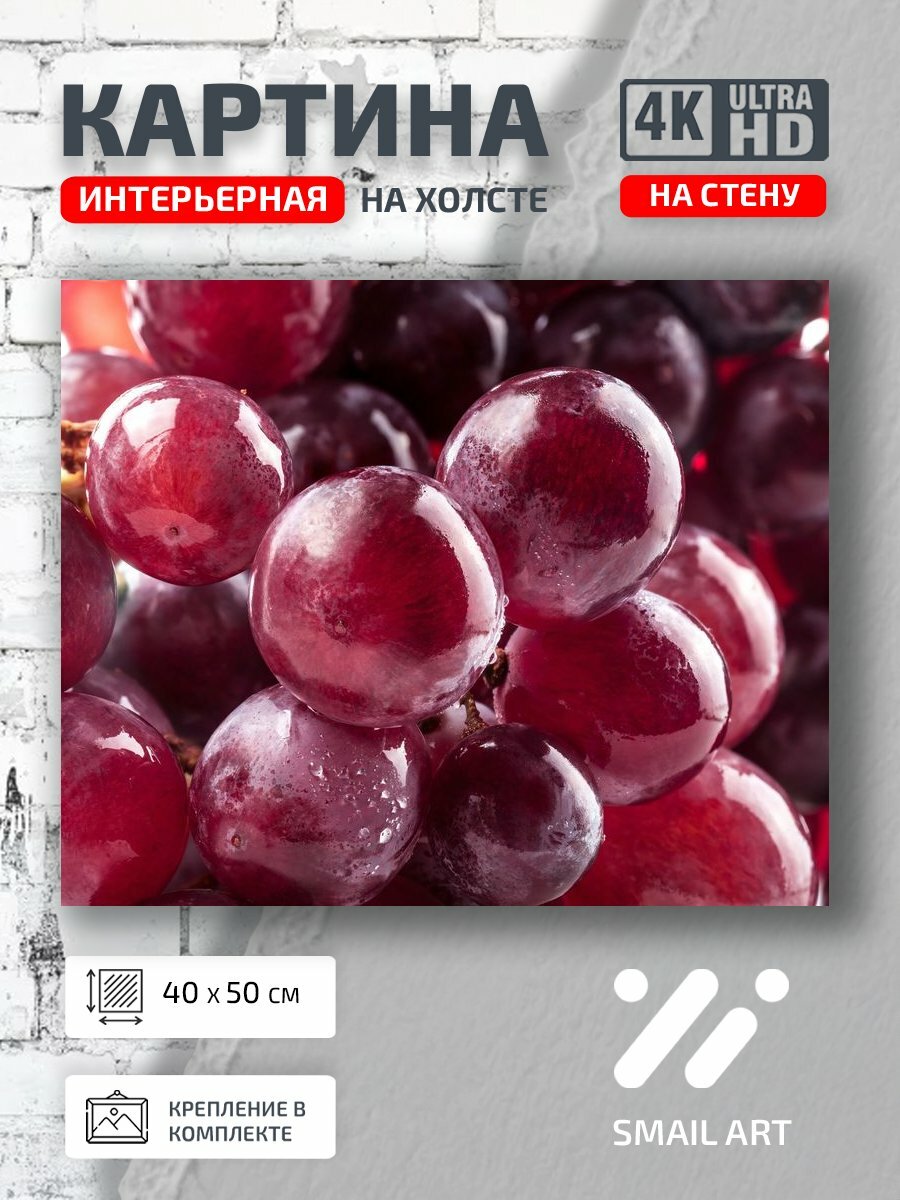 Картина на холсте интерьерная 40 на 50 на стену Гроздь Food для студии кулинария интерьер