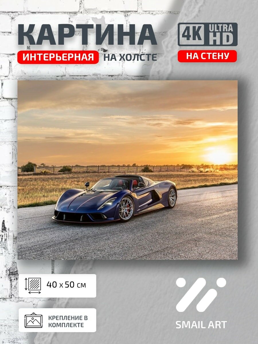 Картина на холсте интерьерная 40 на 50 на стену F5 Roadster для студии атмосфера