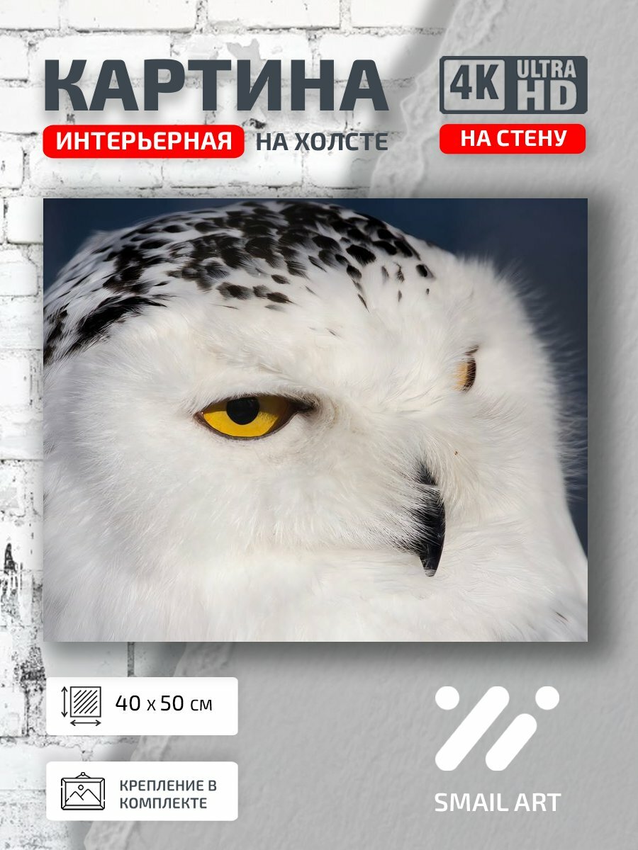 Картина на холсте интерьерная 40 на 50 на стену Филин Mood для гостиной атмосфера интерьер
