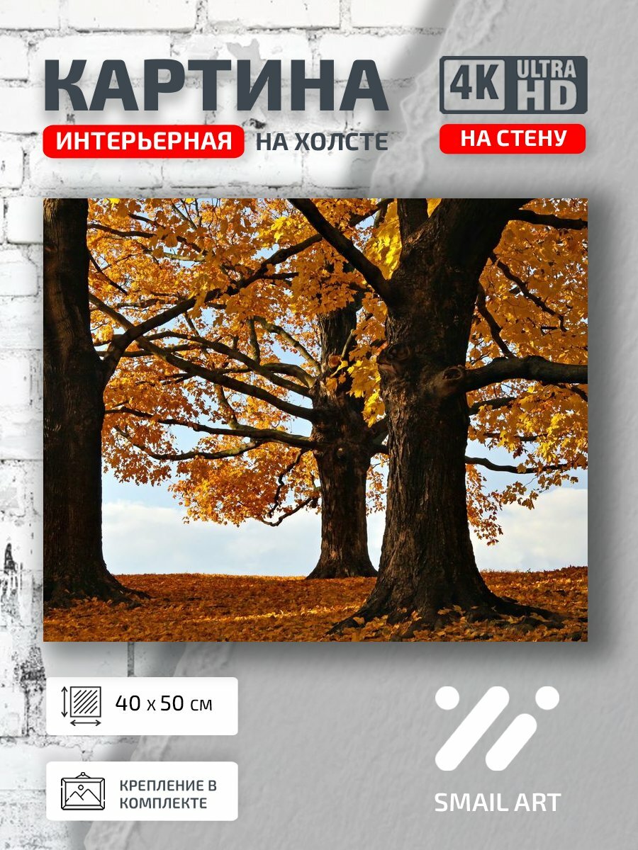 Картина на холсте интерьерная 40 на 50 на стену Дерева Landscape для кафе пейзаж интерьер