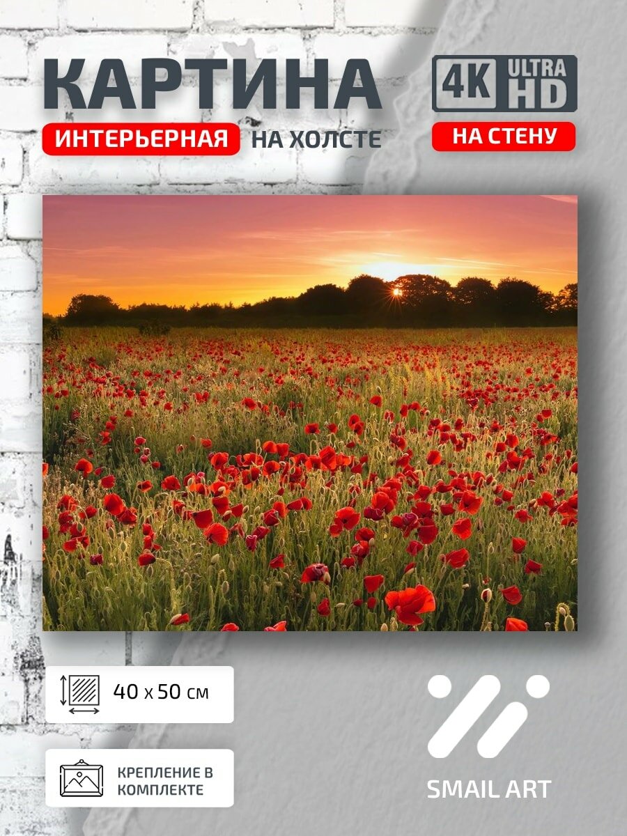 Картина на холсте интерьерная 40 на 50 на стену Природа поле для гостиной пейзаж