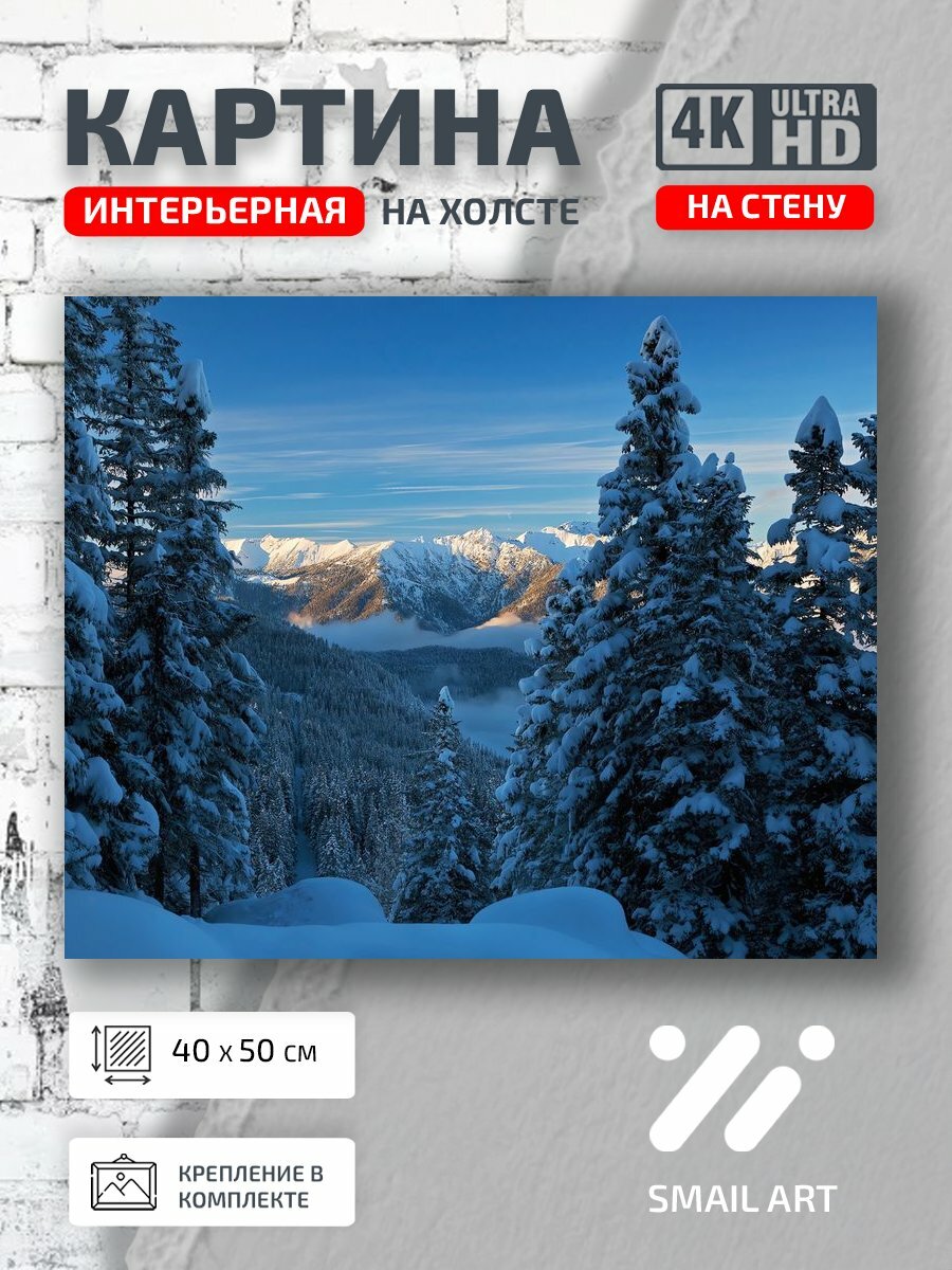 Картина на холсте интерьерная 40 на 50 на стену Ели Mood для спальни атмосфера интерьер