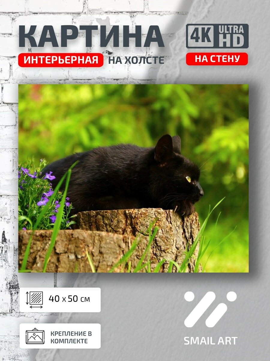 Картина на холсте интерьерная 40 на 50 на стену Животные cat для детской animal style