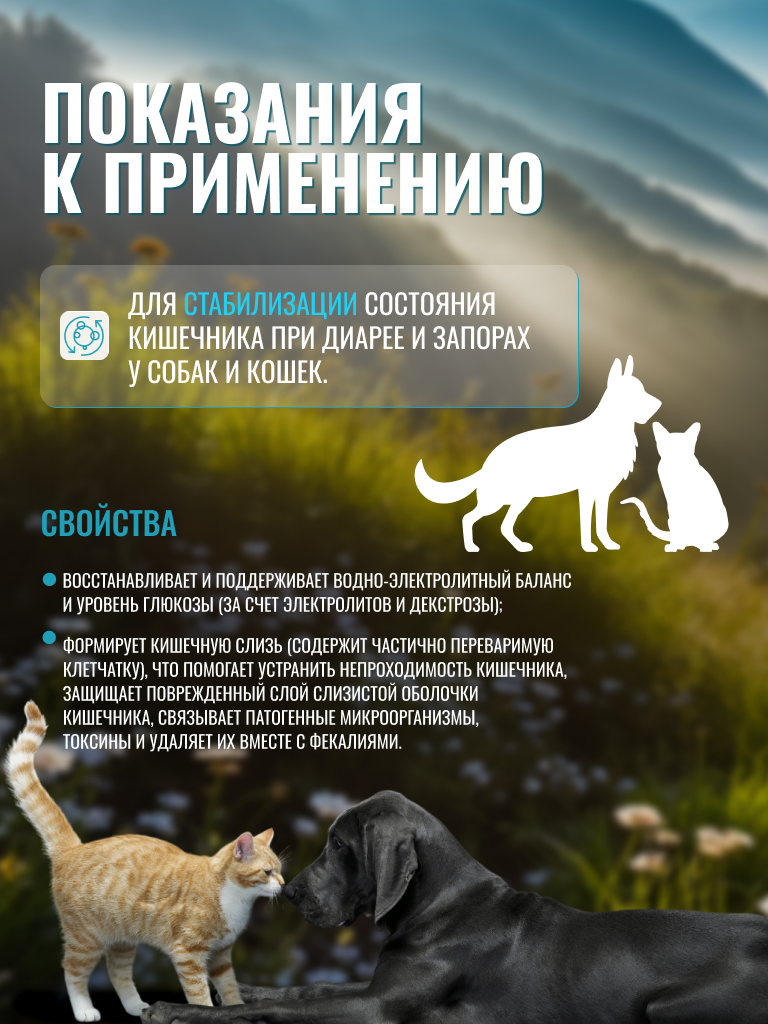 Диагель 10г/саше — фото 1