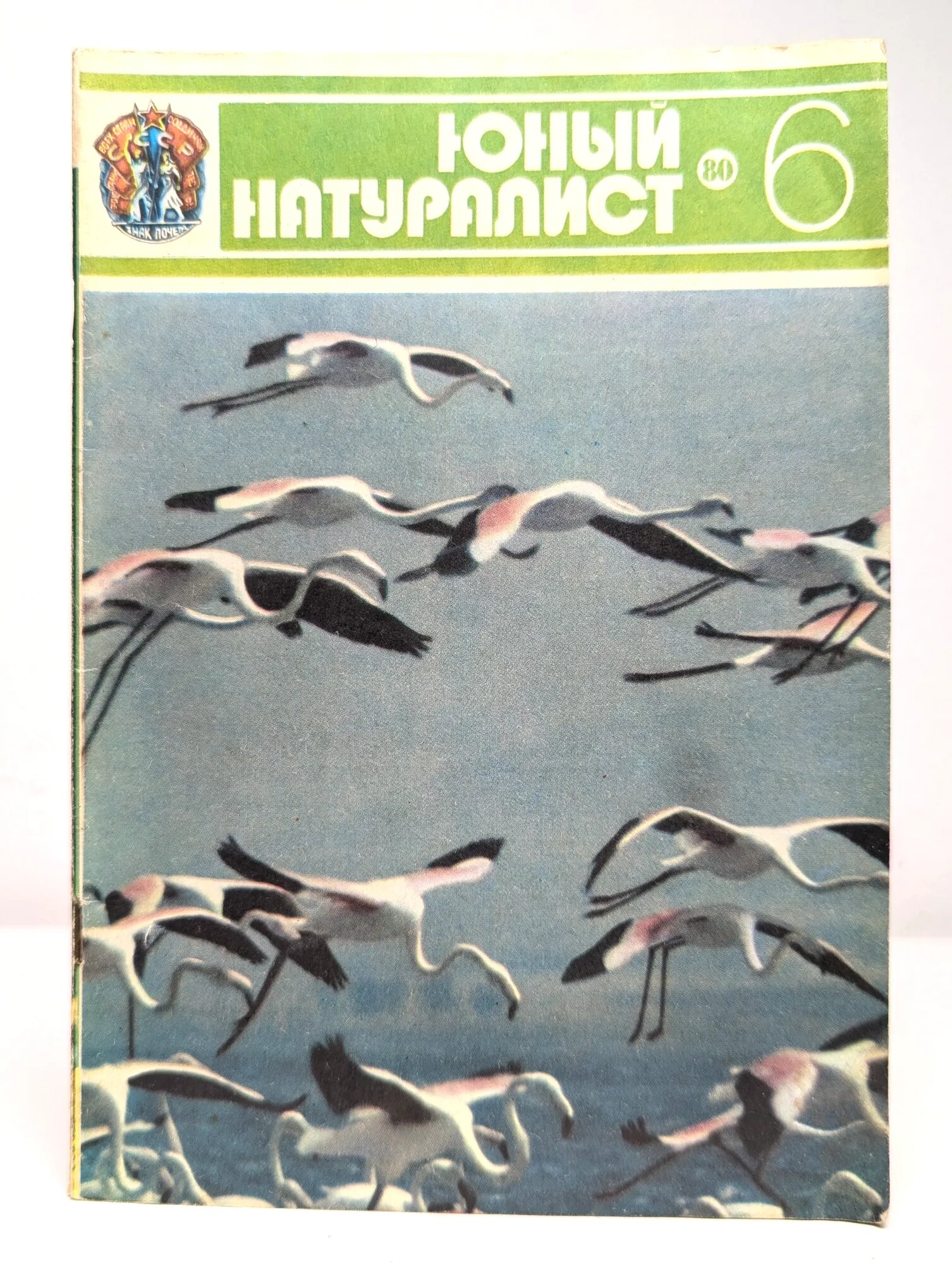 Юный натуралист. Выпуск № 6/1980 ред. Рогожкин Анатолий Георгиевич 1980