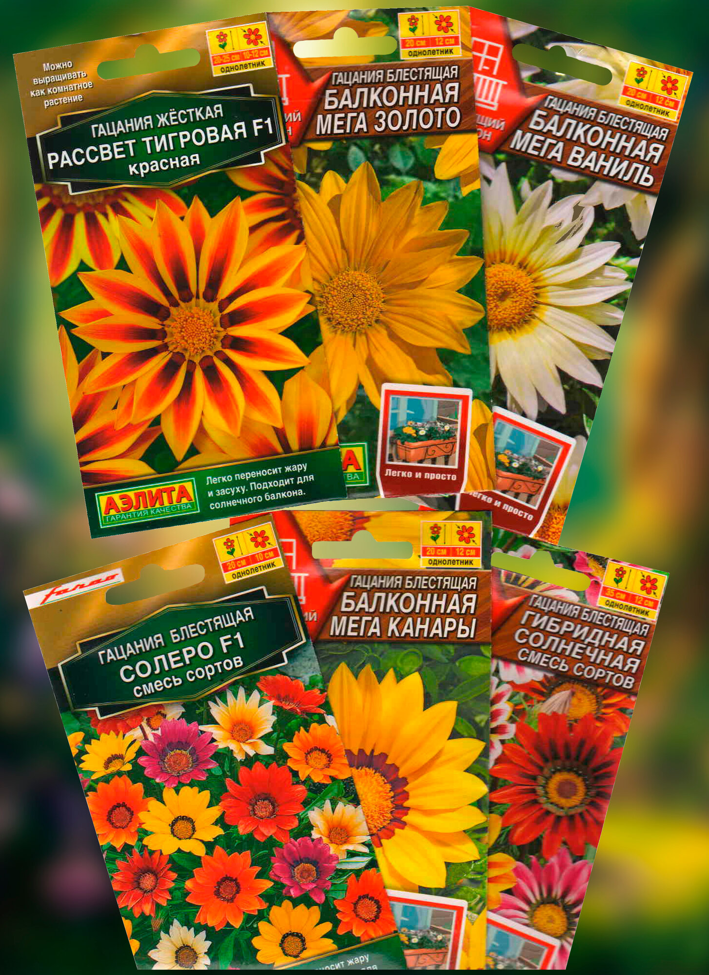 Набор семян цветов Гацания 6 упаковок семян, для всех регионов