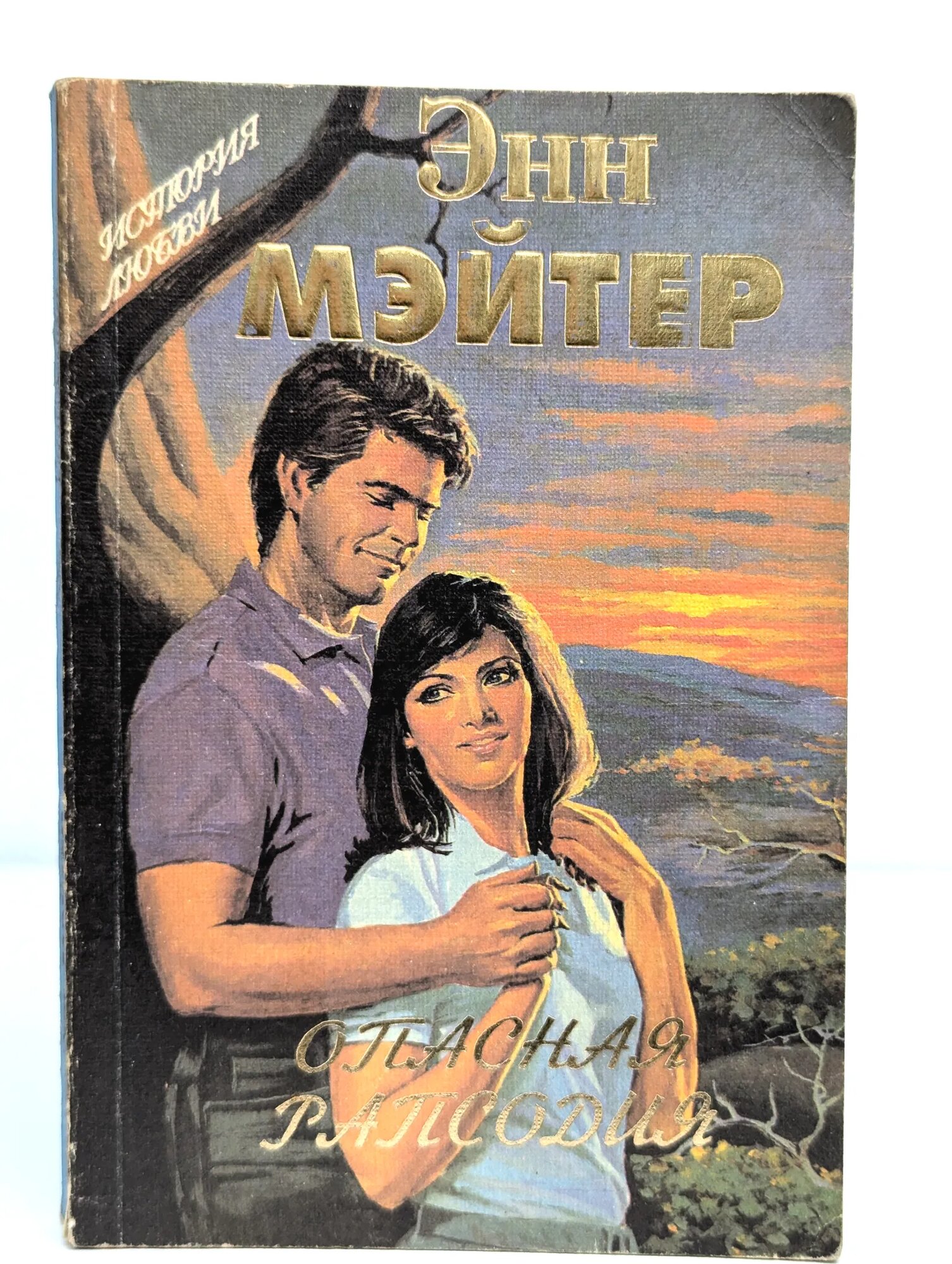 Опасная рапсодия Мэйтер Энн 1993
