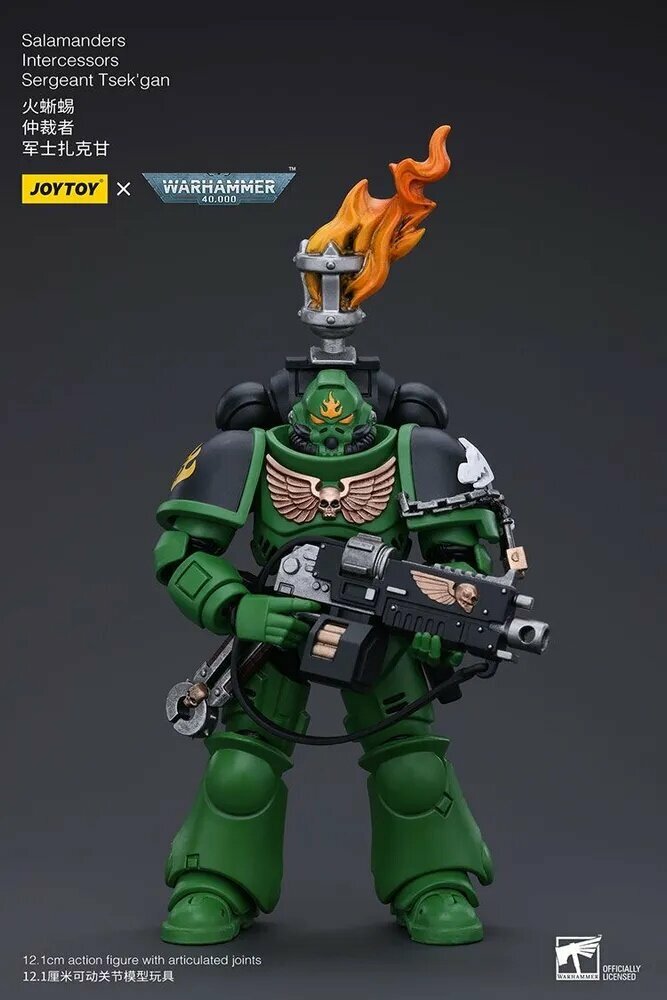 Подвижная фигурка JOYTOY Warhammer Salamanders Intercessors Sergeant Tsek'gan/18Action Figures
