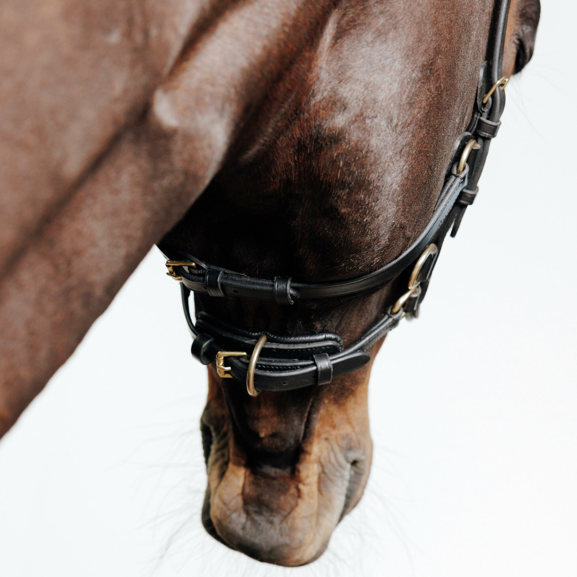 Decathlon Безжелезное оголовье для лошади и пони - FS