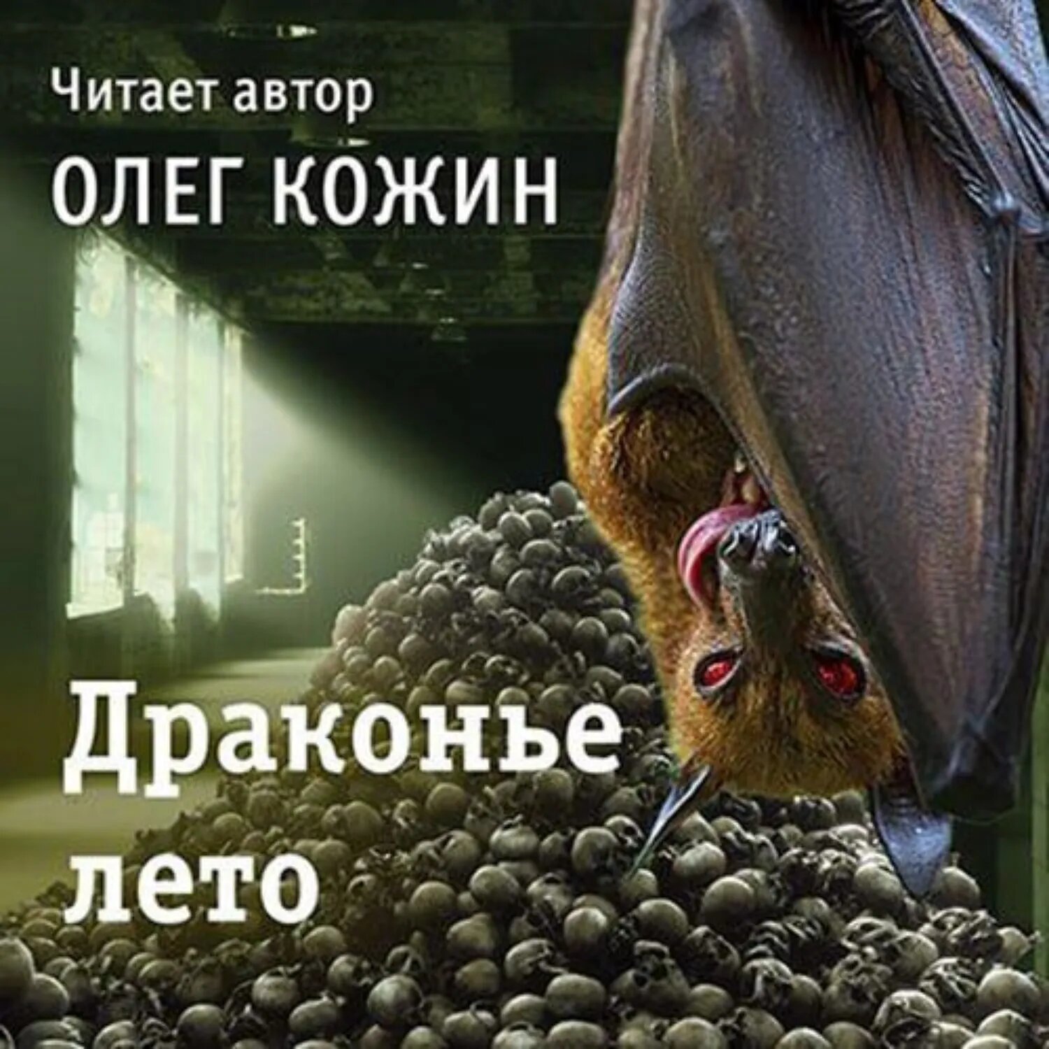 Драконье лето [Аудиокнига]