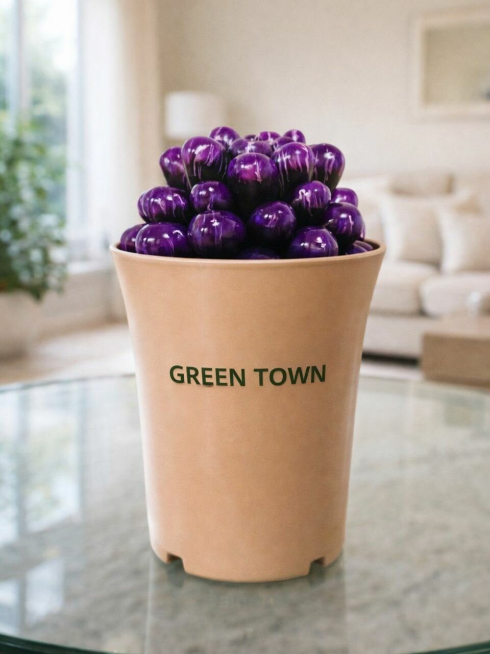 Хавортия GREEN TOWN "Купера Пурпурная", живое растение, многолетнее, умеренная влажность воздуха