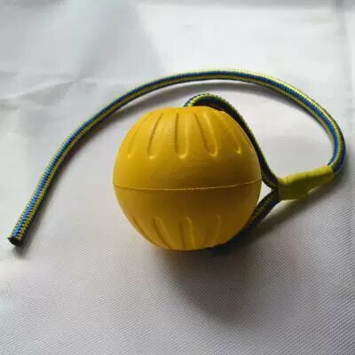 Летающее кольцо для дрессировки собак, немецкая овчарка, бордер-коллли, интерактивное тренировочное кольцо для домашних