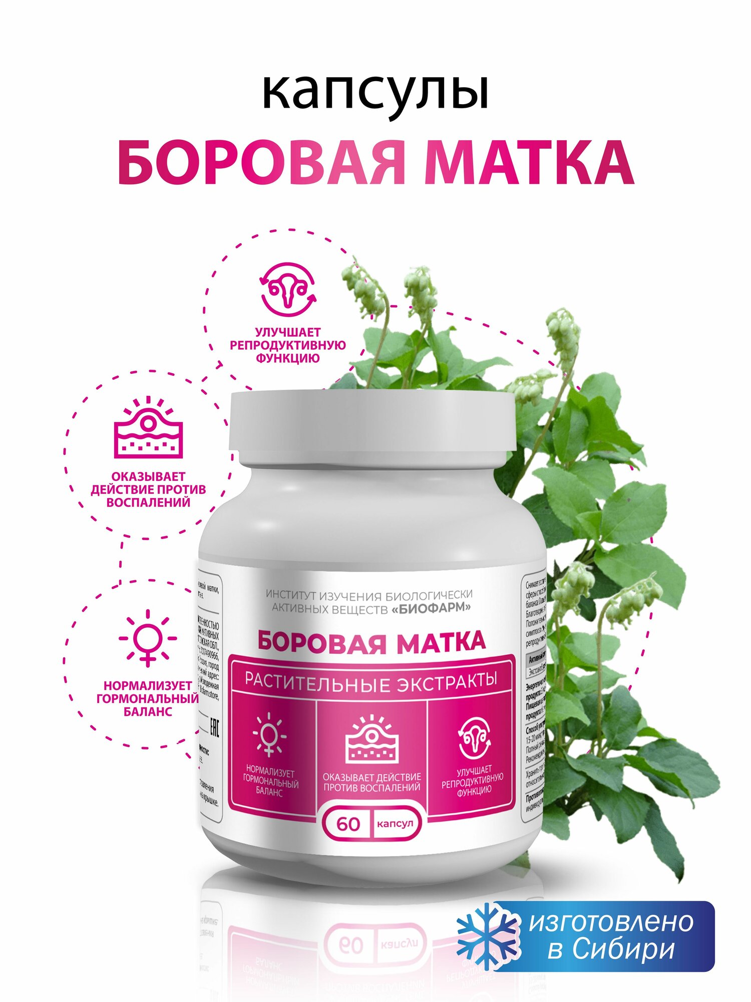 Капсулы с сухими растительными экстрактами - Боровая матка 60 шт