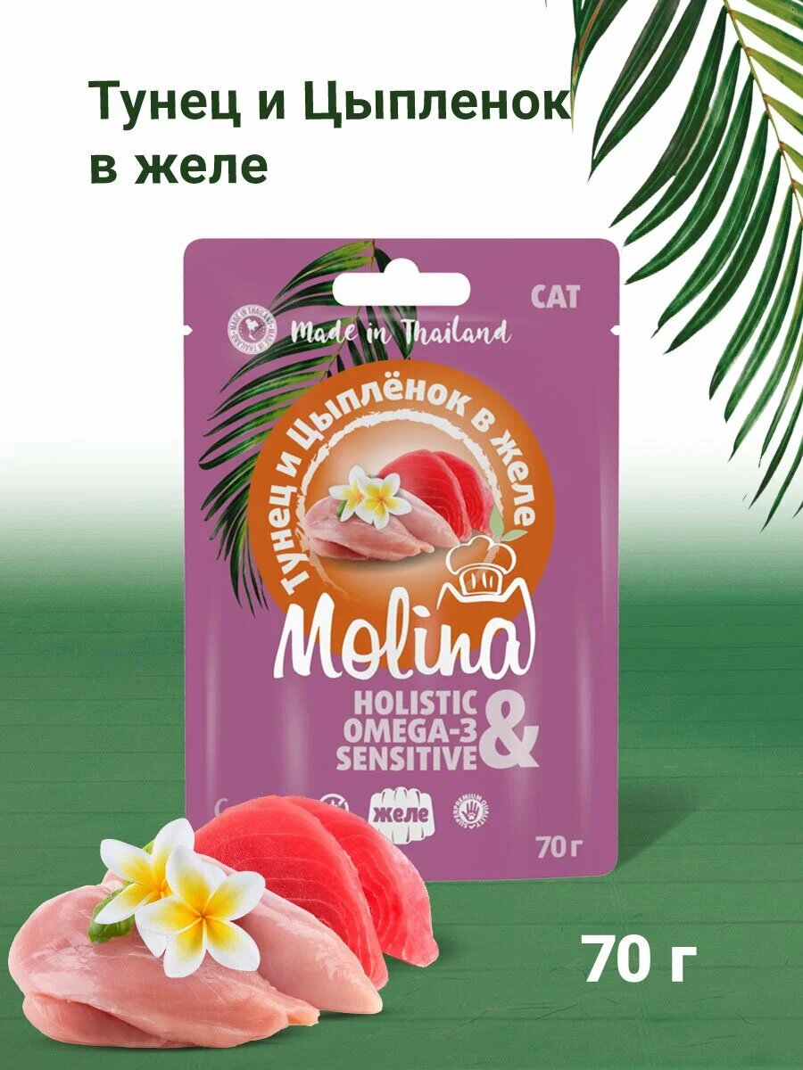 Паучи Molina для кошек любых пород, цыплёнок и тунец в желе 70гр