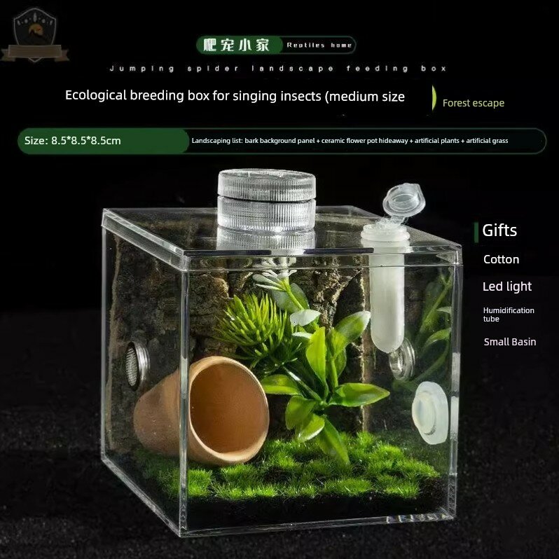 Клетка для разведения прыгающих пауков, премиум-террариум для пауков, для цикад, стрекоз, высокопрозрачный контейнер