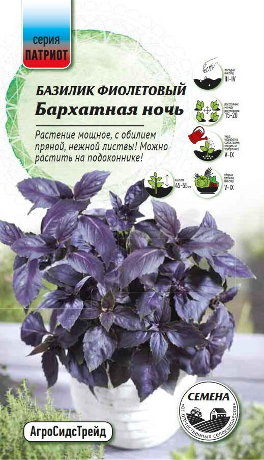 Семена пряных трав Патриот базилик Бархатная ночь, для дачи, сада, огорода и на рассаду