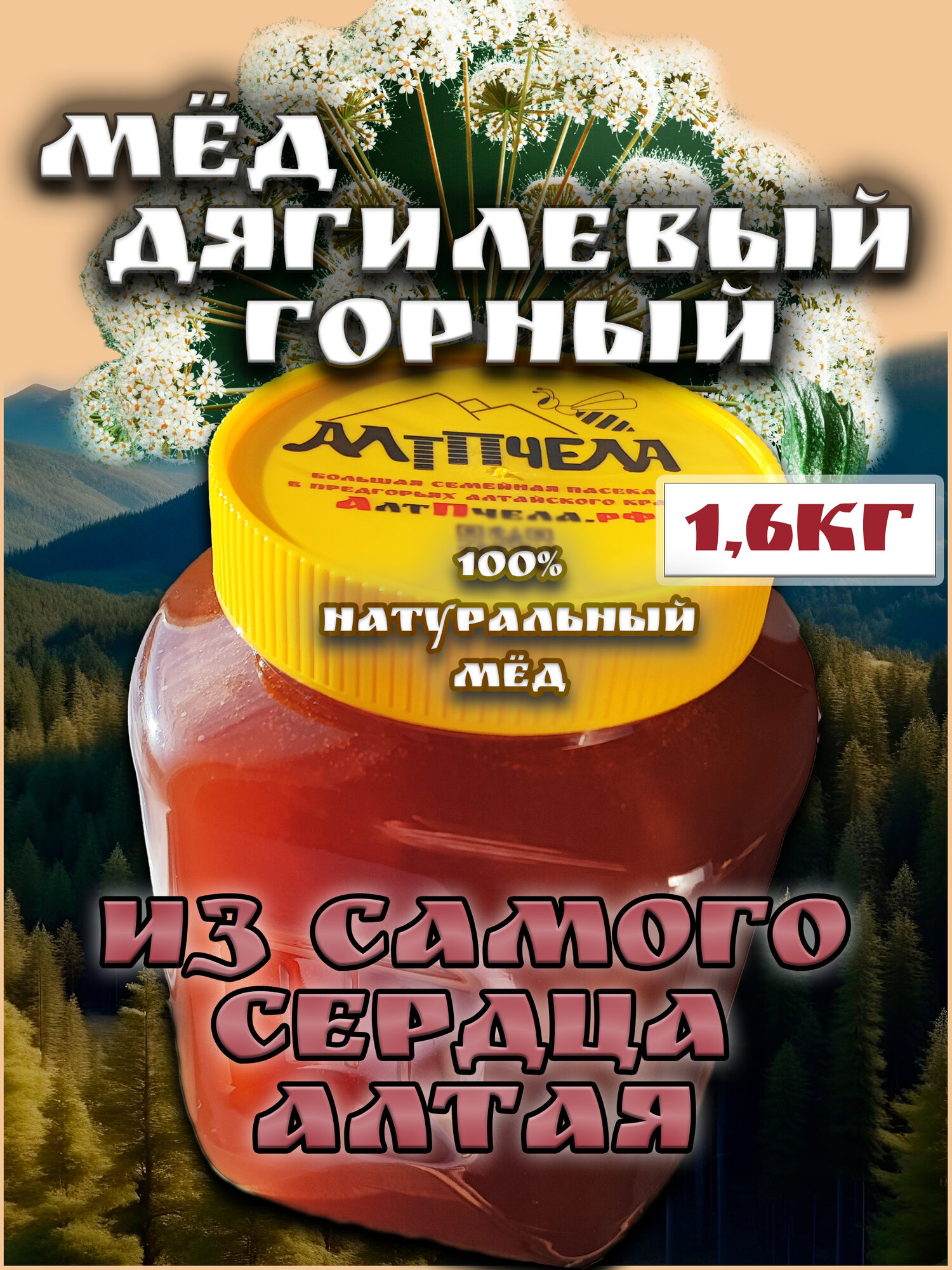 Мёд дягилевый натуральный горный. Алтайский. Вес 1.6кг