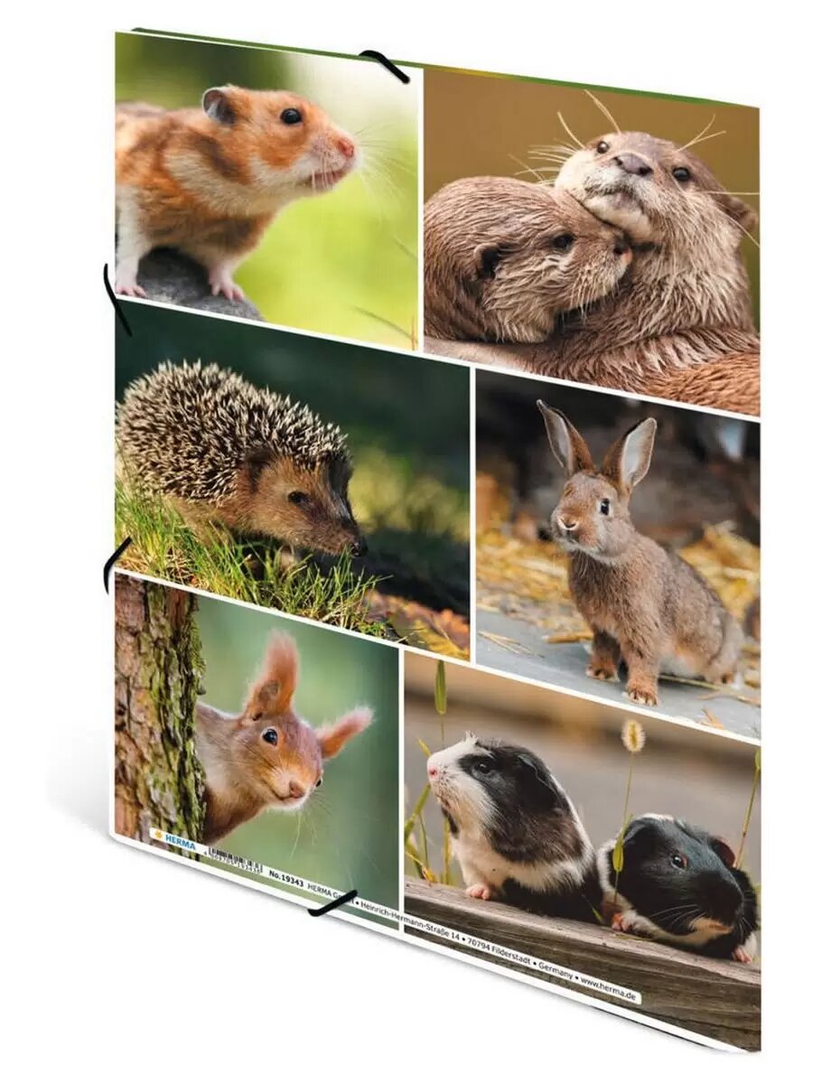 Папка HERMA "Милые грызунчики", на резинке, для документов, А4, на 200 л