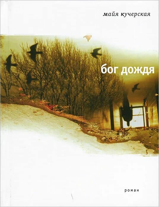 Бог дождя. Роман