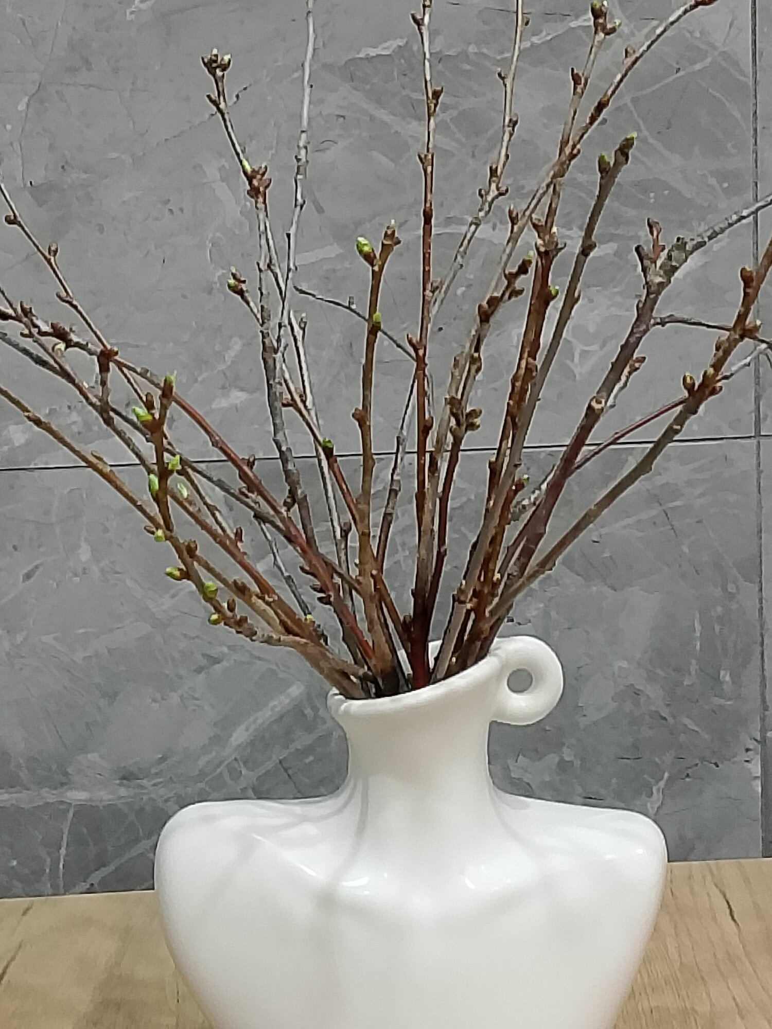 Живые ветки вишни, вишнёвые веточки