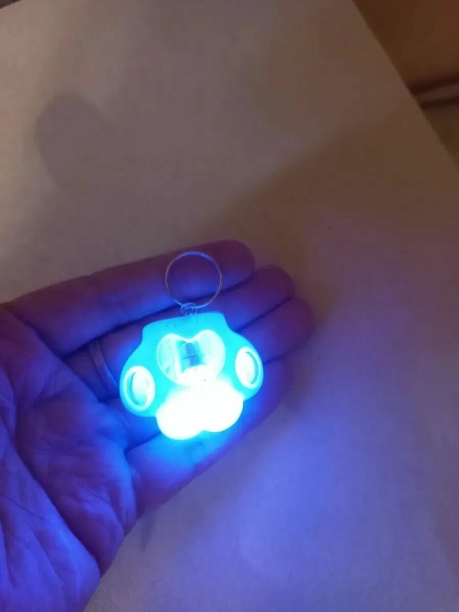 Фонарик-брелок "Лапка", 3,5х4см, рандомный выбор цвета.