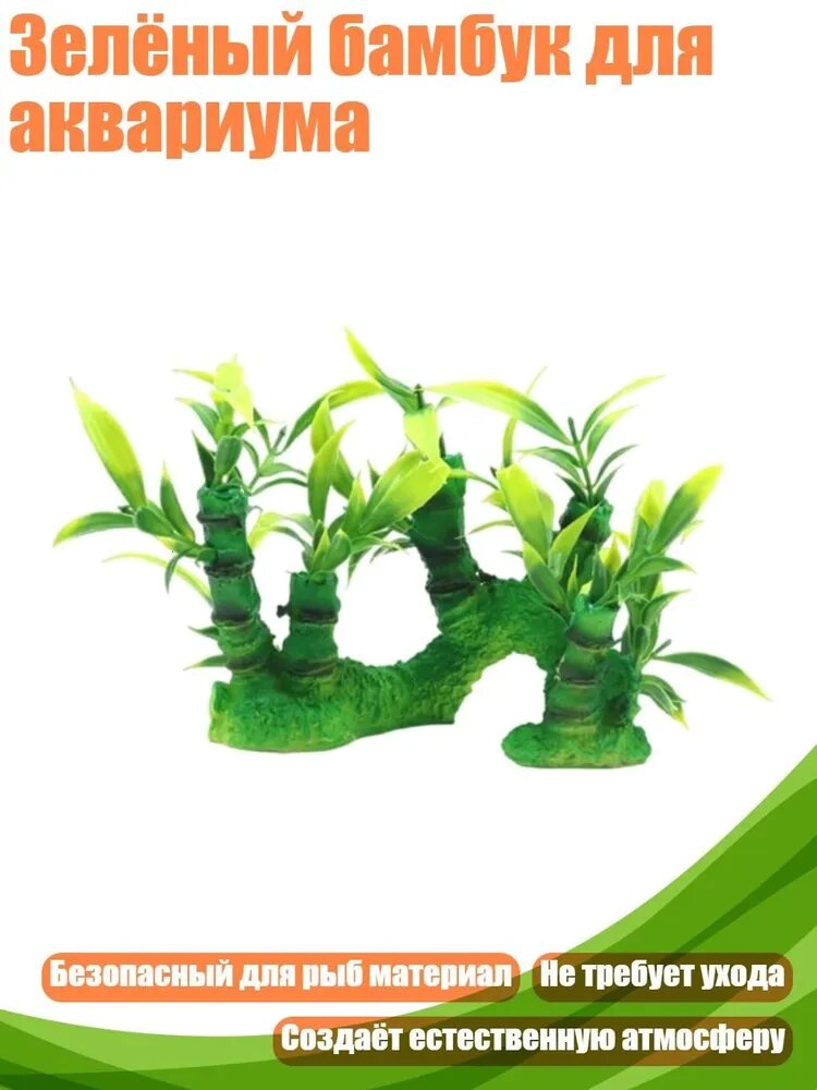 Зелёный бамбук для аквариума