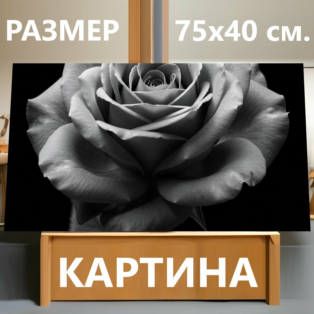 Картина на холсте "Белая роза на черном фоне. Монохромный крупный цветок с бархатистыми лепестками и тонким стеблем, изящная композиция в." на подрамнике 75х40 см. для интерьера