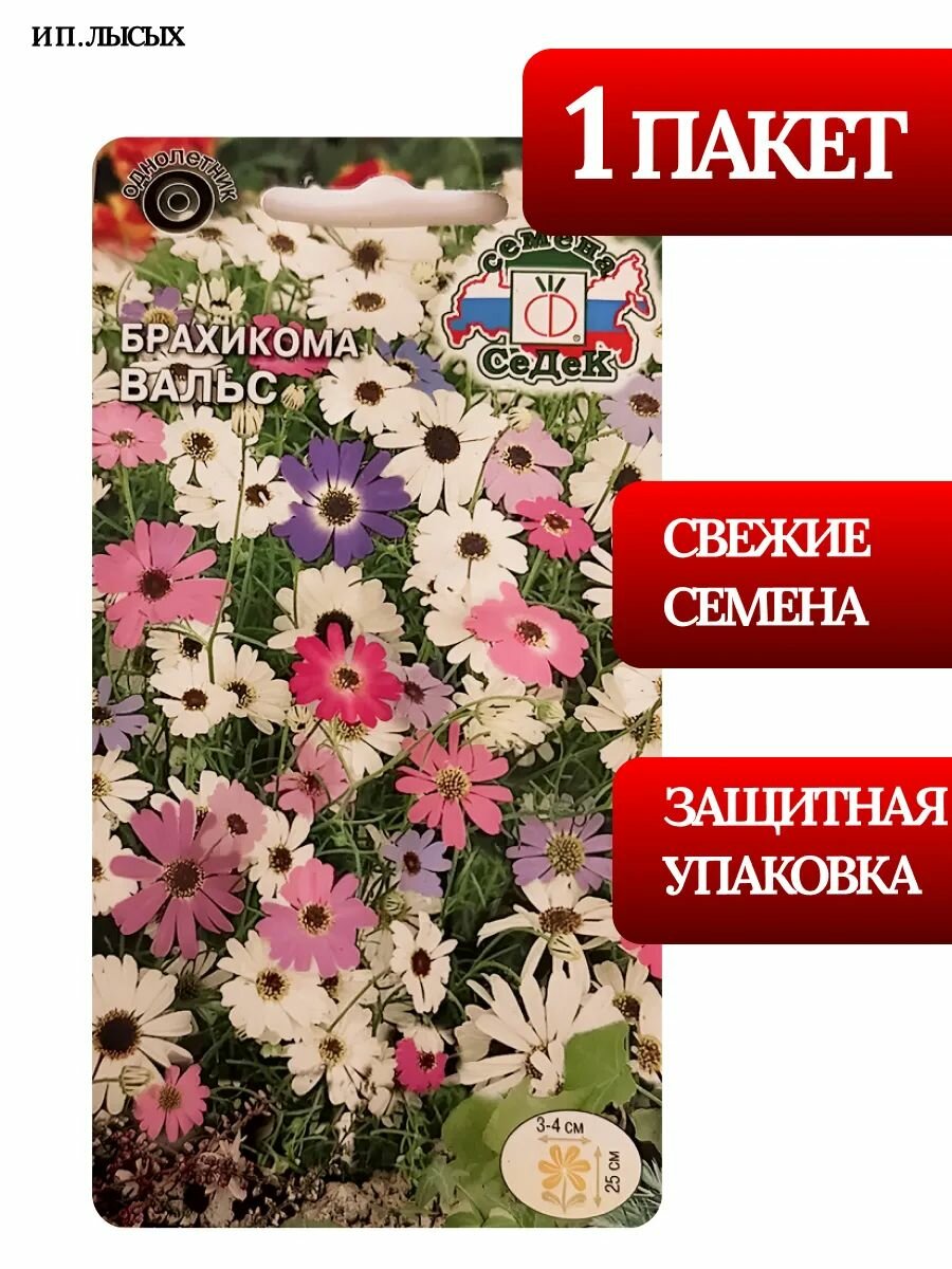 Семена Брахикома "Вальс"
