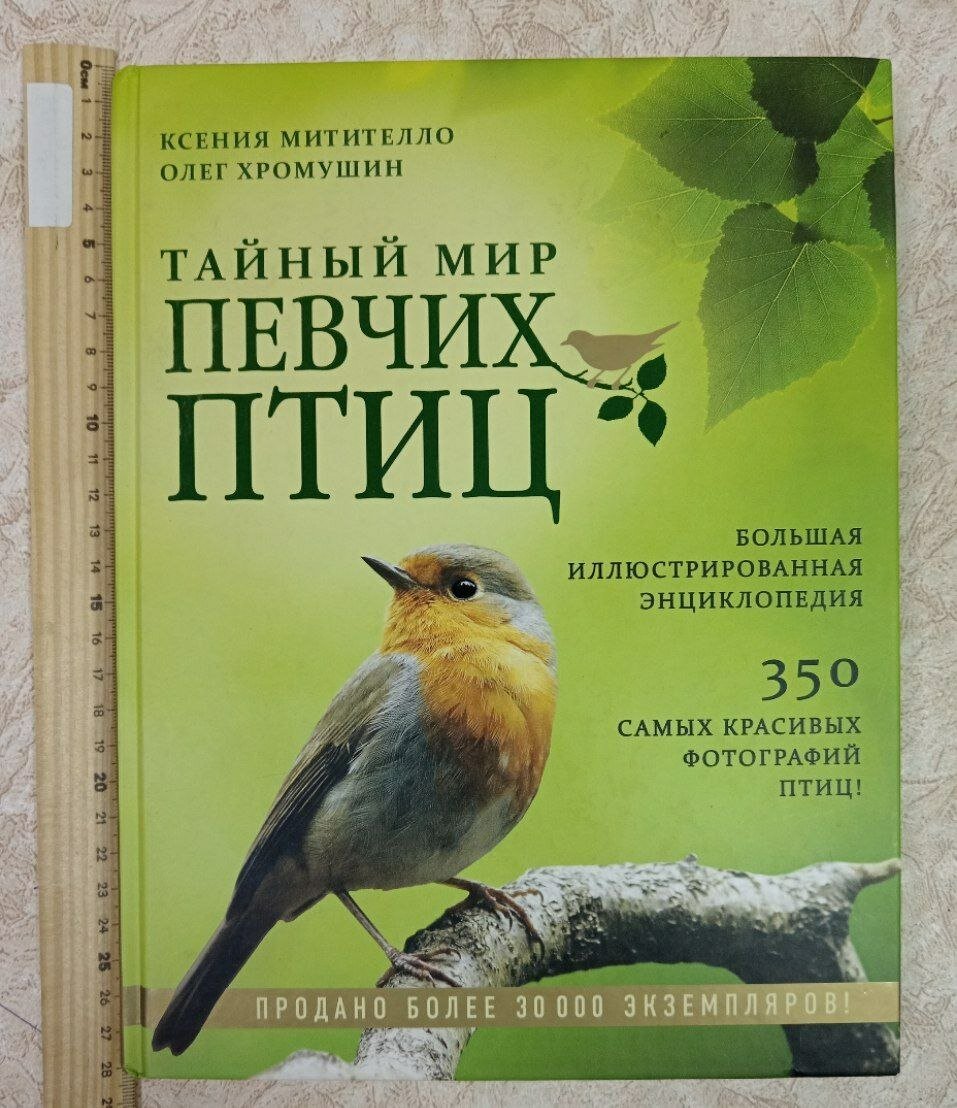 Тайный мир певчих птиц. Большая иллюстрированная энциклопедия Митителло Ксения Борисовна
